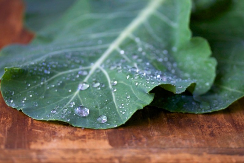 Cutting the fat (if you can believe it) in collards with bacon and ...